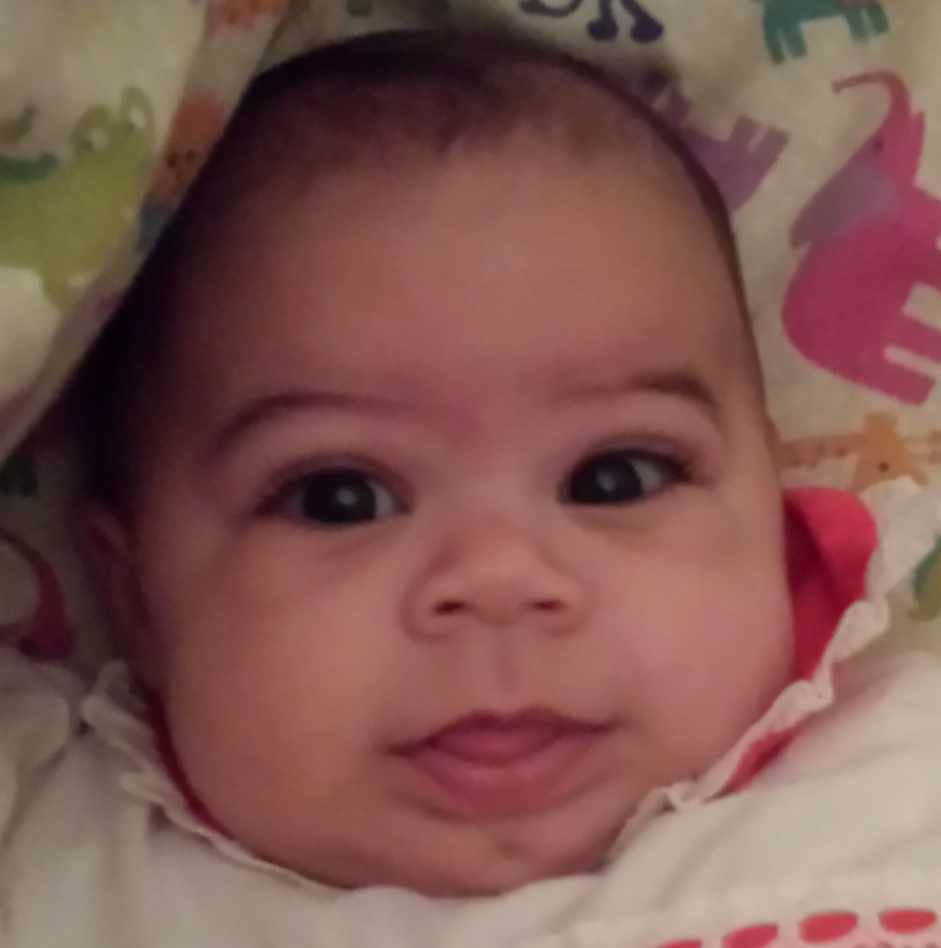 Baylee K Shaw | American Sudden Infant Death Syndrome Institute